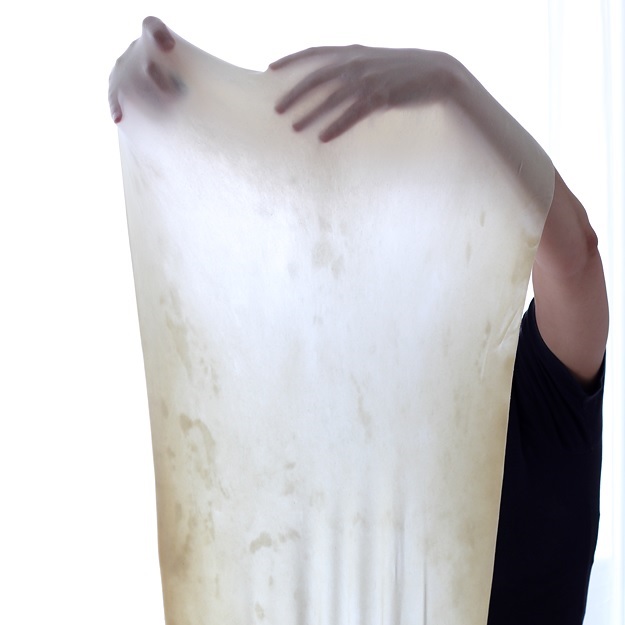 Der perfekte Strudelteig » Taste of Travel